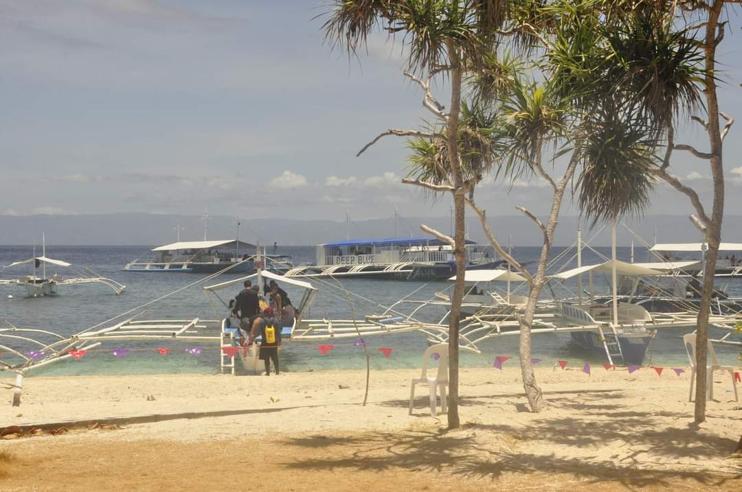 ‘Taloto Wild Dragons’ retains title at ‘Glow in the Dark’ Dragon Boat ...