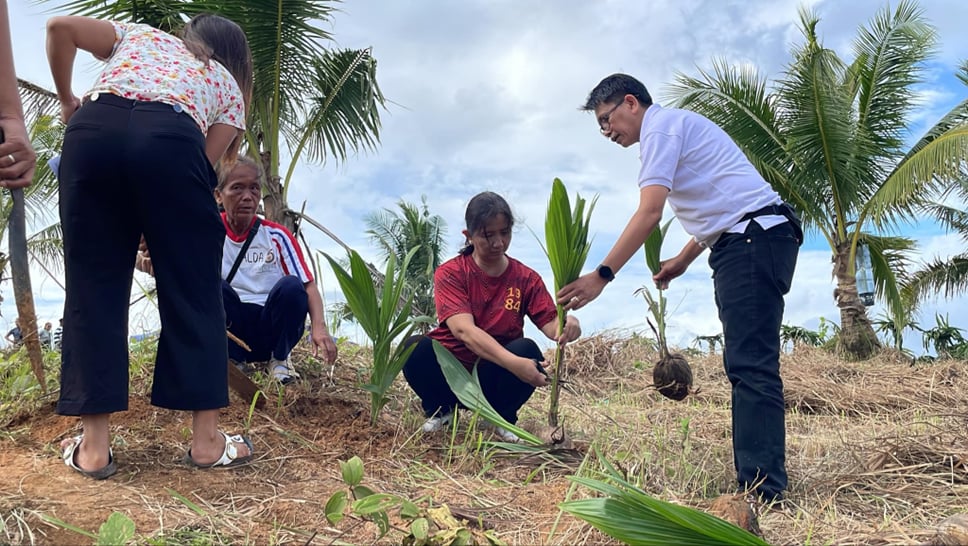 Bohol joins 38th National Coconut Week – BOHOL ISLAND NEWS