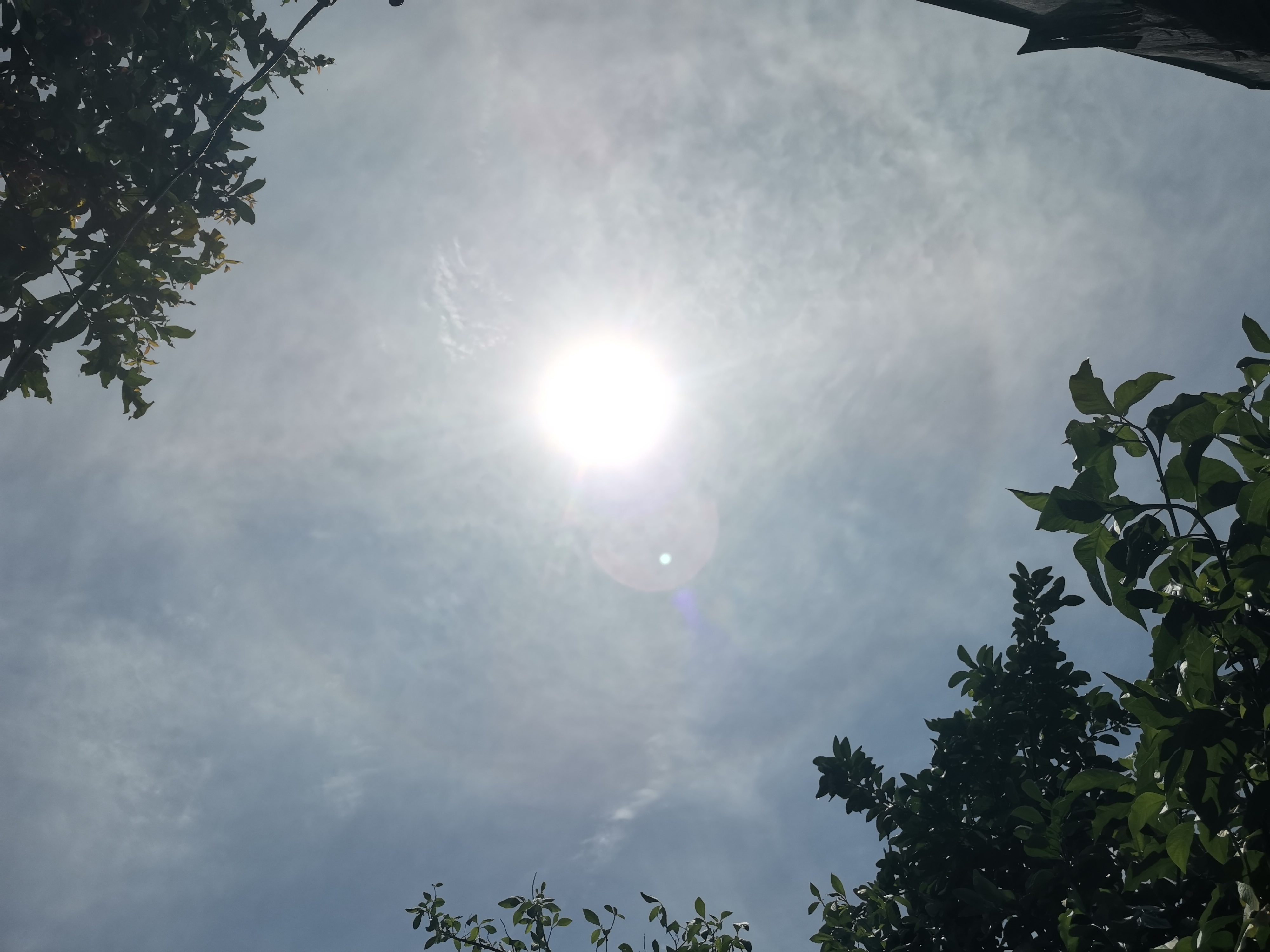 Rare ‘sun halo’ dazzles Bohol skies – BOHOL ISLAND NEWS